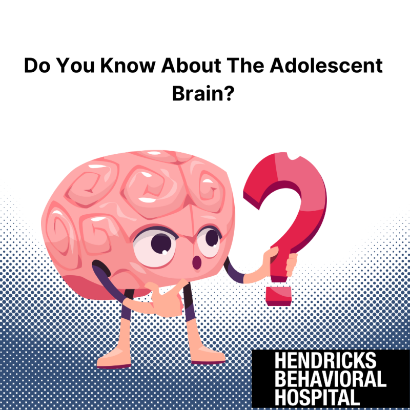 Adolescent Brain Development | Hendricks Behavioral Hospital